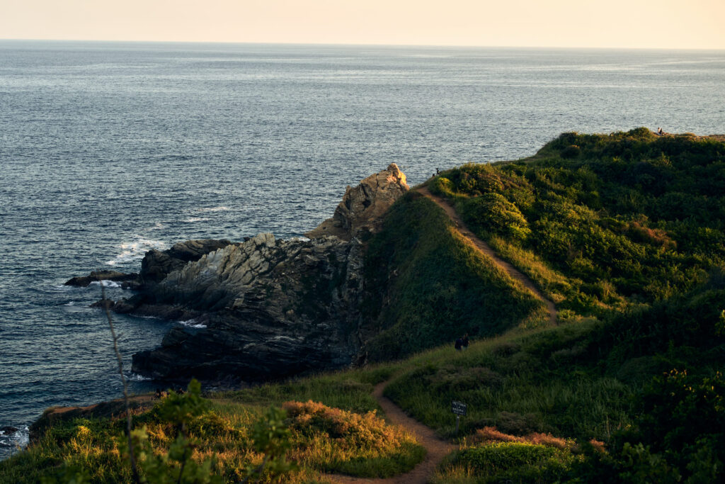 Que hacer en Mazunte : Guía completa - Eco Adventures